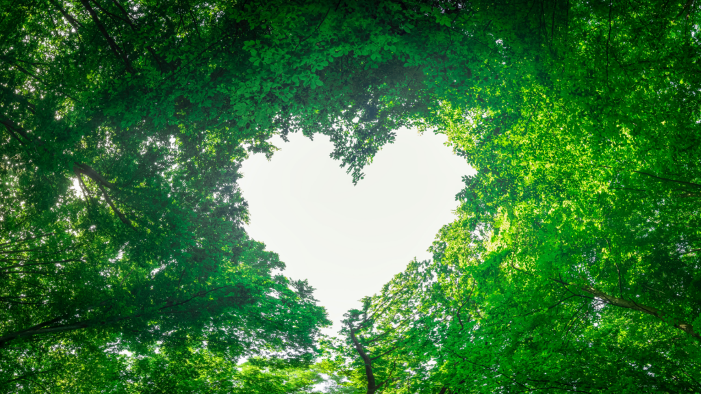 Cutting down paper, not trees - Reduce your paper consumption and costs