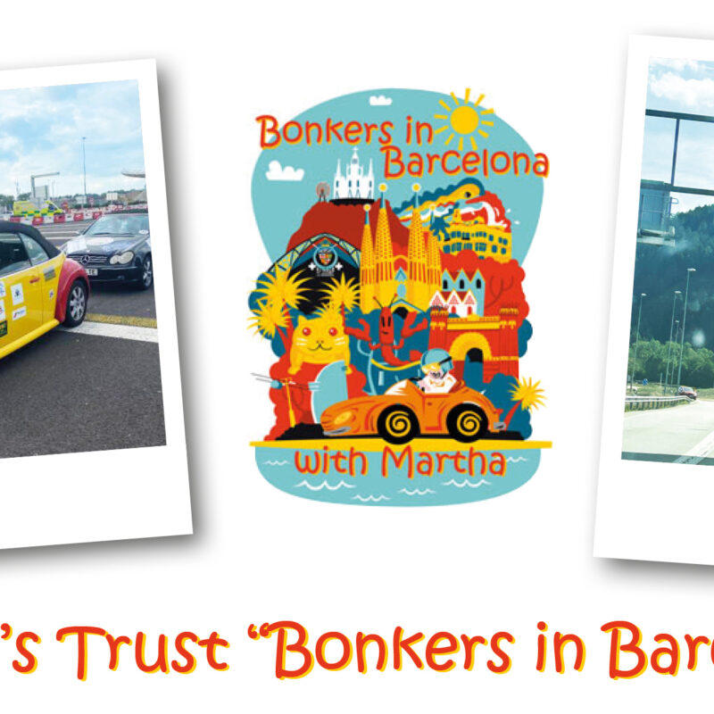 Request MPS Support - Agilico