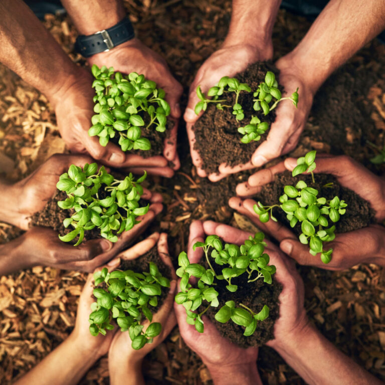 Agilico | Workplace Technology & Expertise You Can Trust