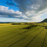 Agilico Edinburgh | Managed Print & Workplace Technology Service