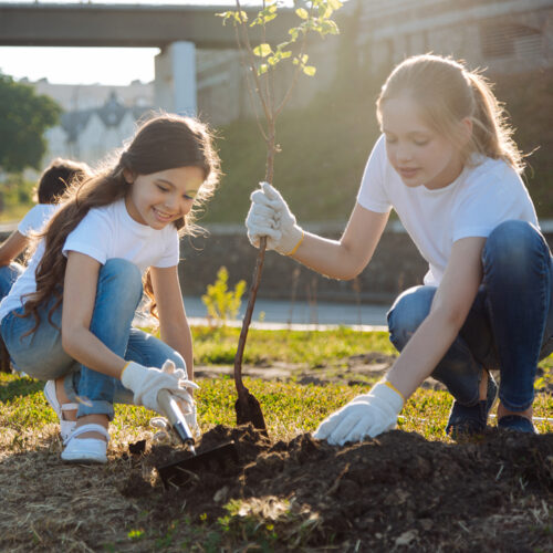 Request MPS Support - Agilico