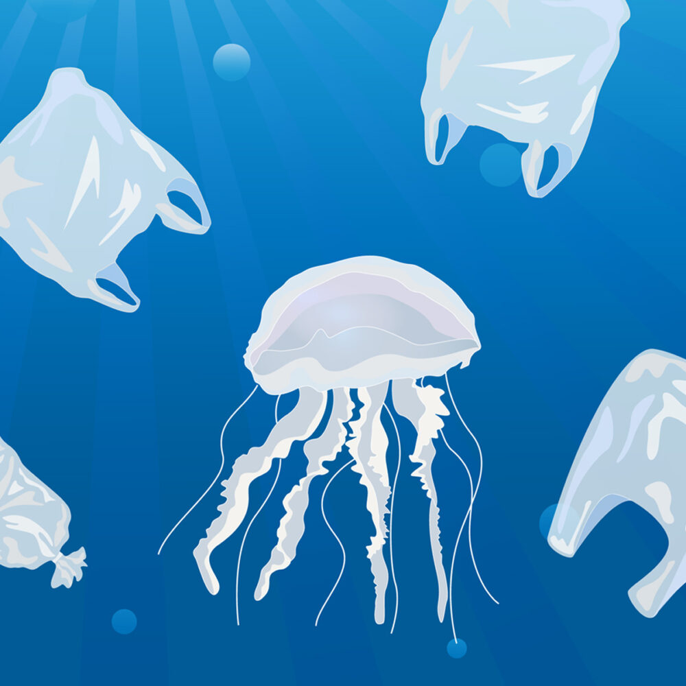 Request Print Support - Agilico - Printer, MFD, Software