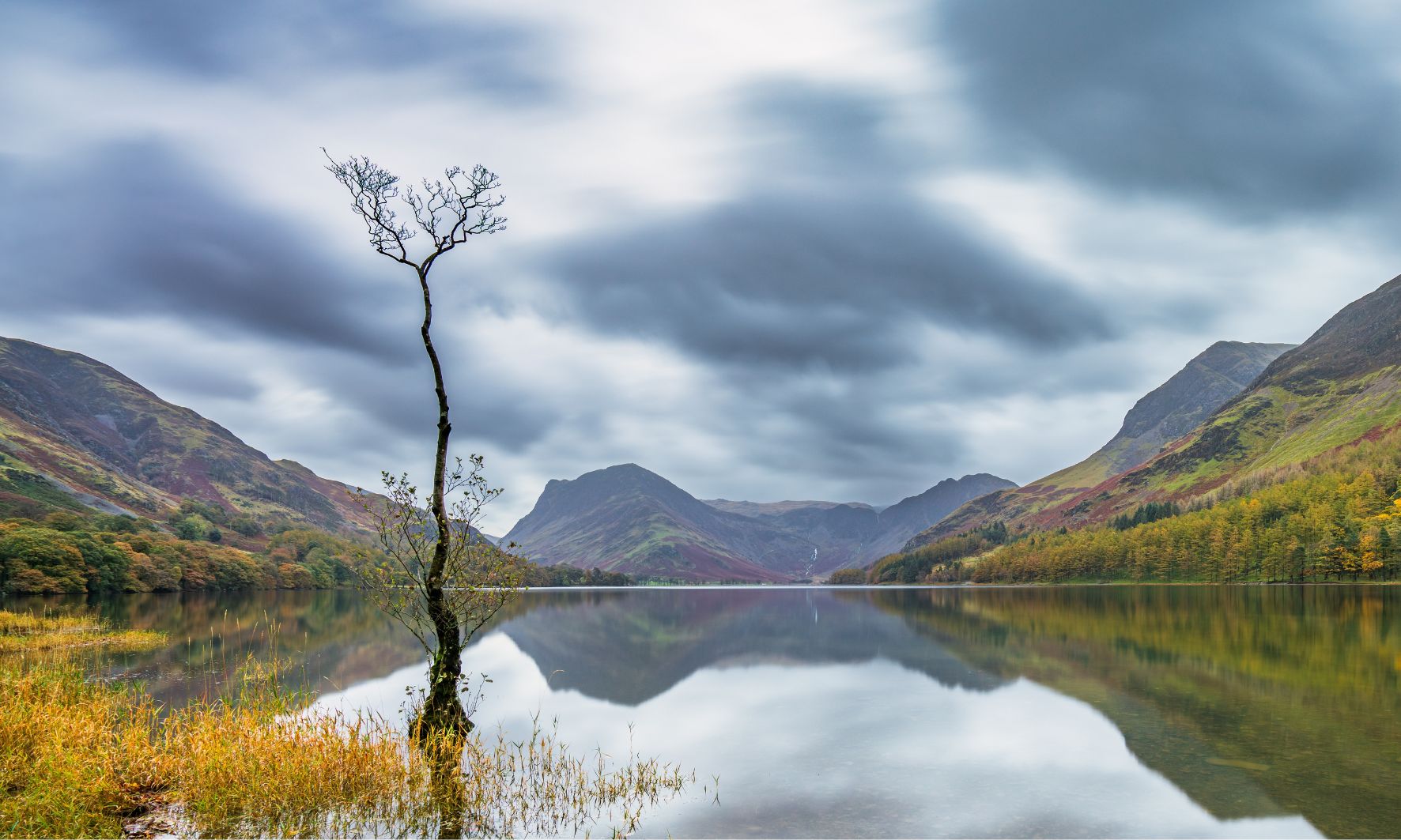 Agilico Cumbria - Agilico
